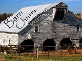 It's All About Purple: Barn Charm #2