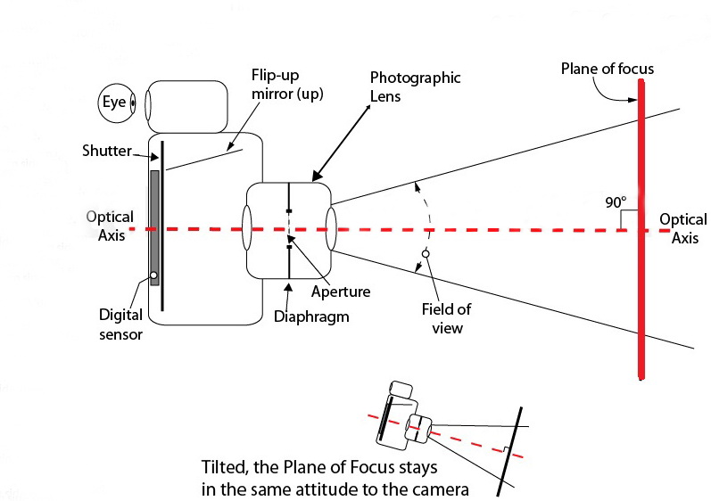 Country Road: Single Point Focusing
