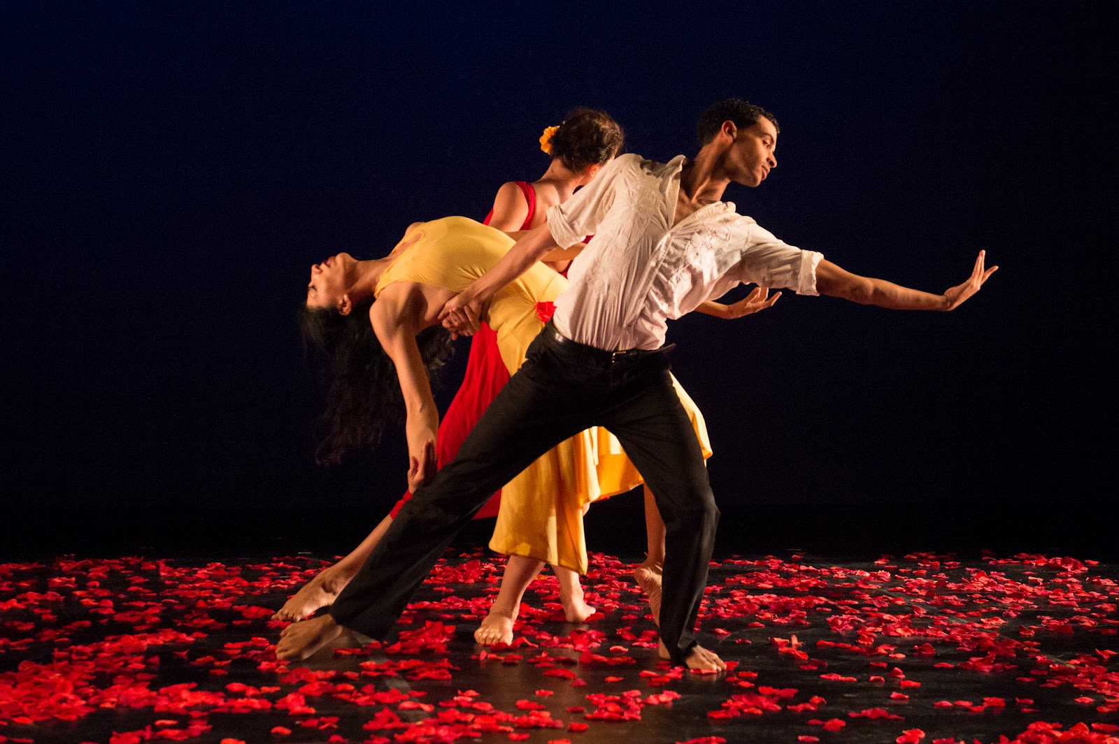 My Pointe Taken: Dance Reviews from A Dancer