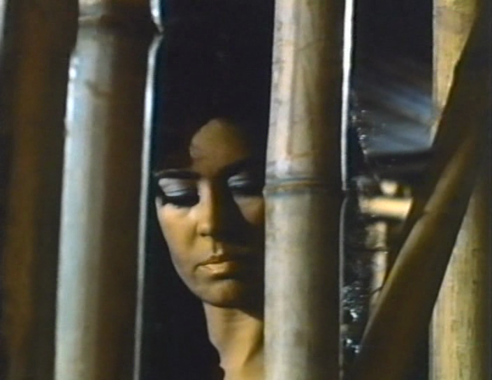 Name That Filipino Actor!: Lisa Todd