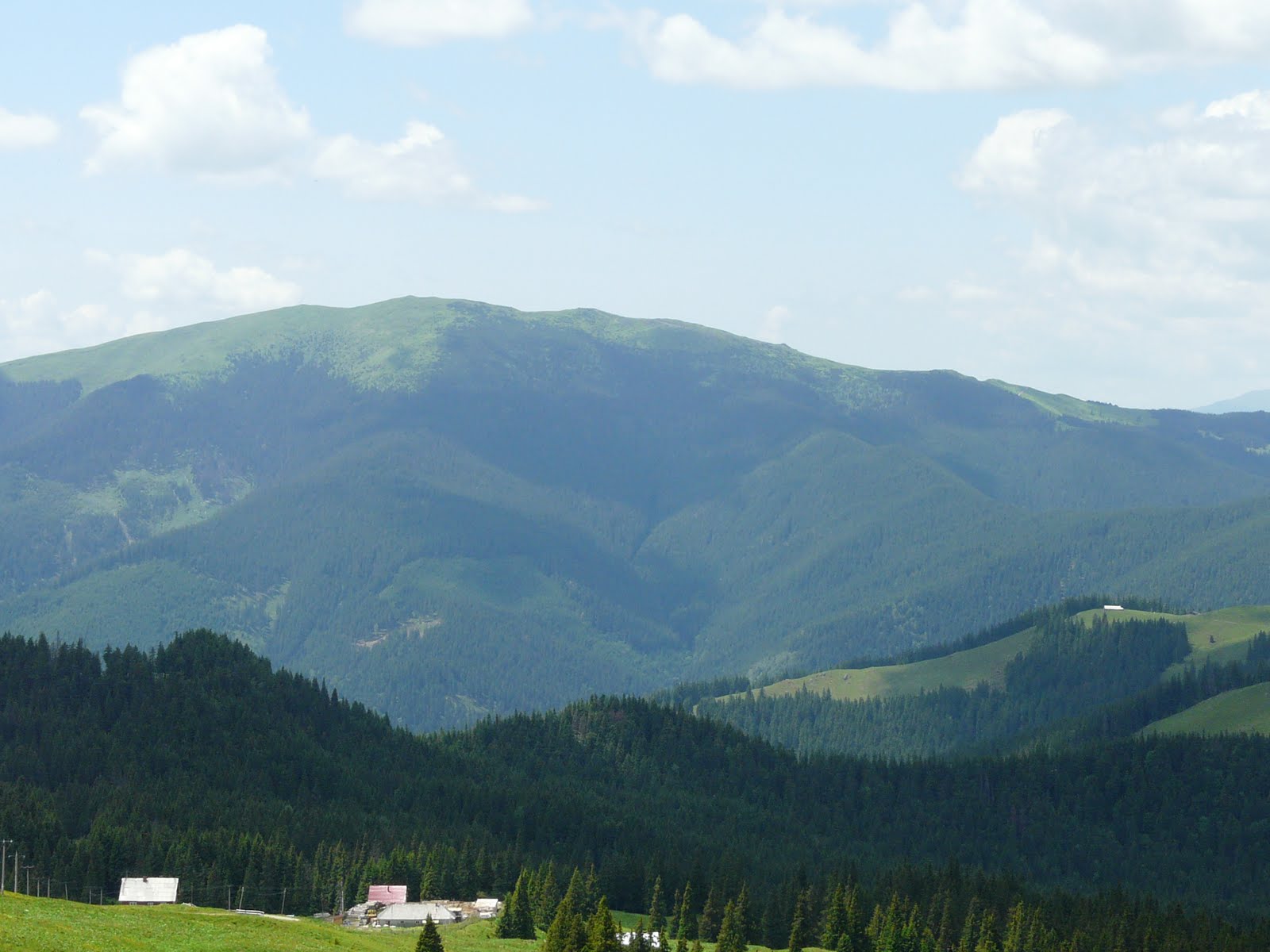 plecat de acasă: Piatra Şoimului şi Codrul Secular de la Slătioara