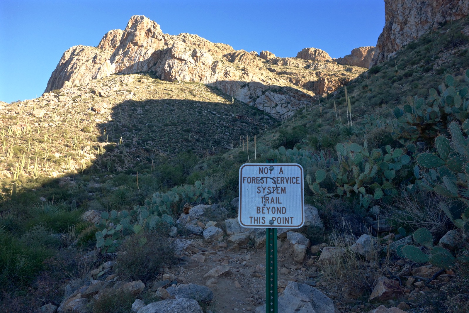 Earthline: The American West: Pusch Peak, 5,361', Pusch Ridge Wilderness