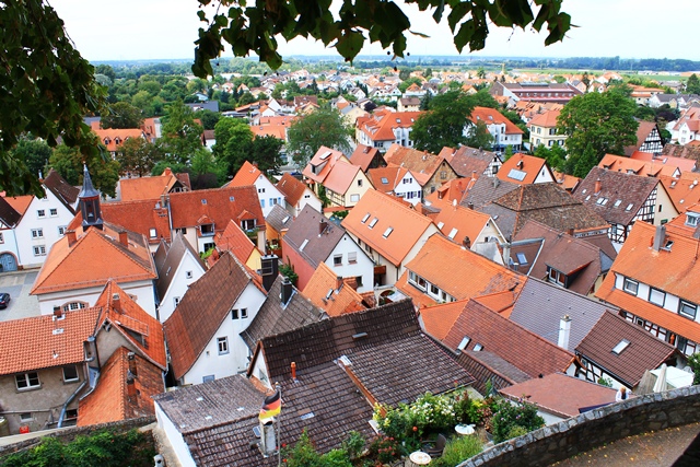 Life as I know it.: Living in Germany: A Tour of Zwingenberg