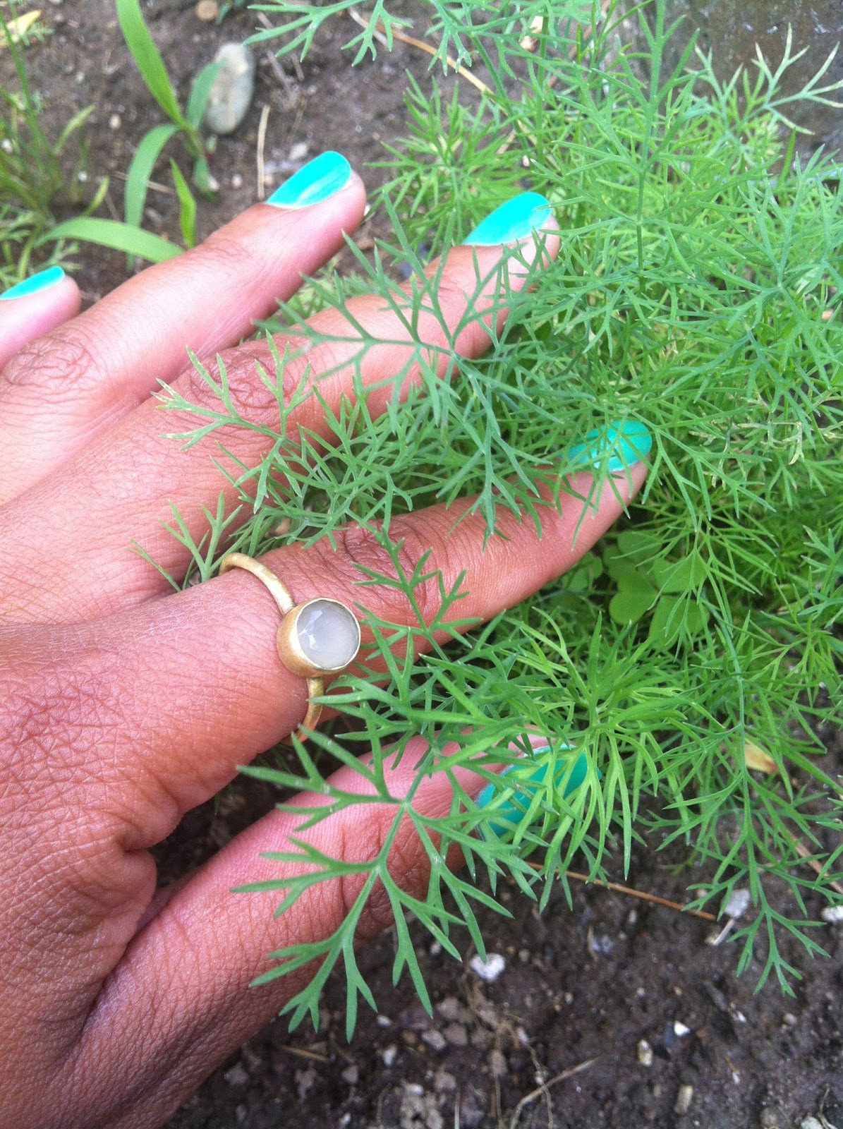 GoldFeather Blog: How I made my Tepee Garden