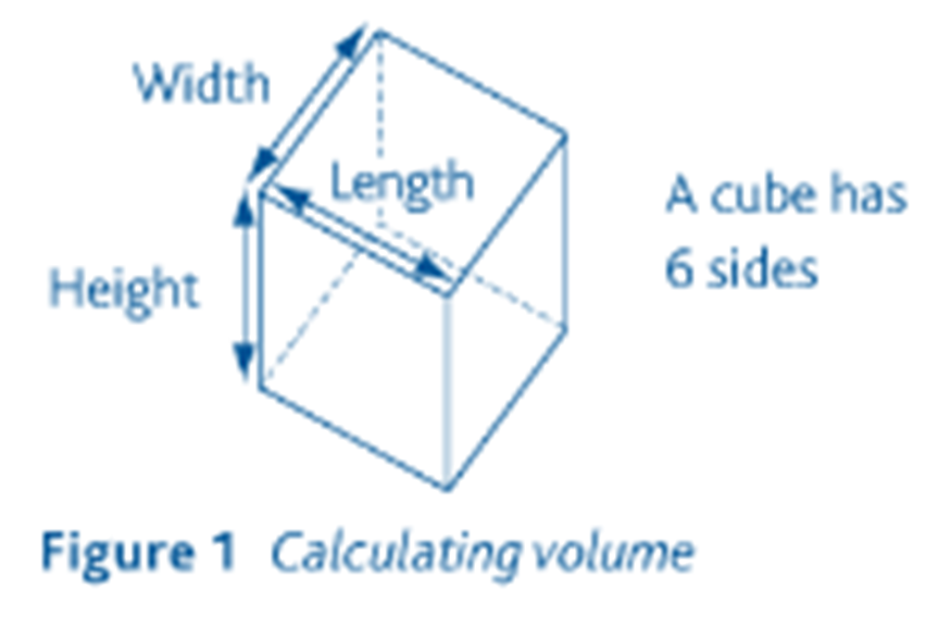 AS biology Ms Timms: Surface area to volume ratio images