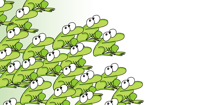 One Million Frogs: One Million Frogs Press Release