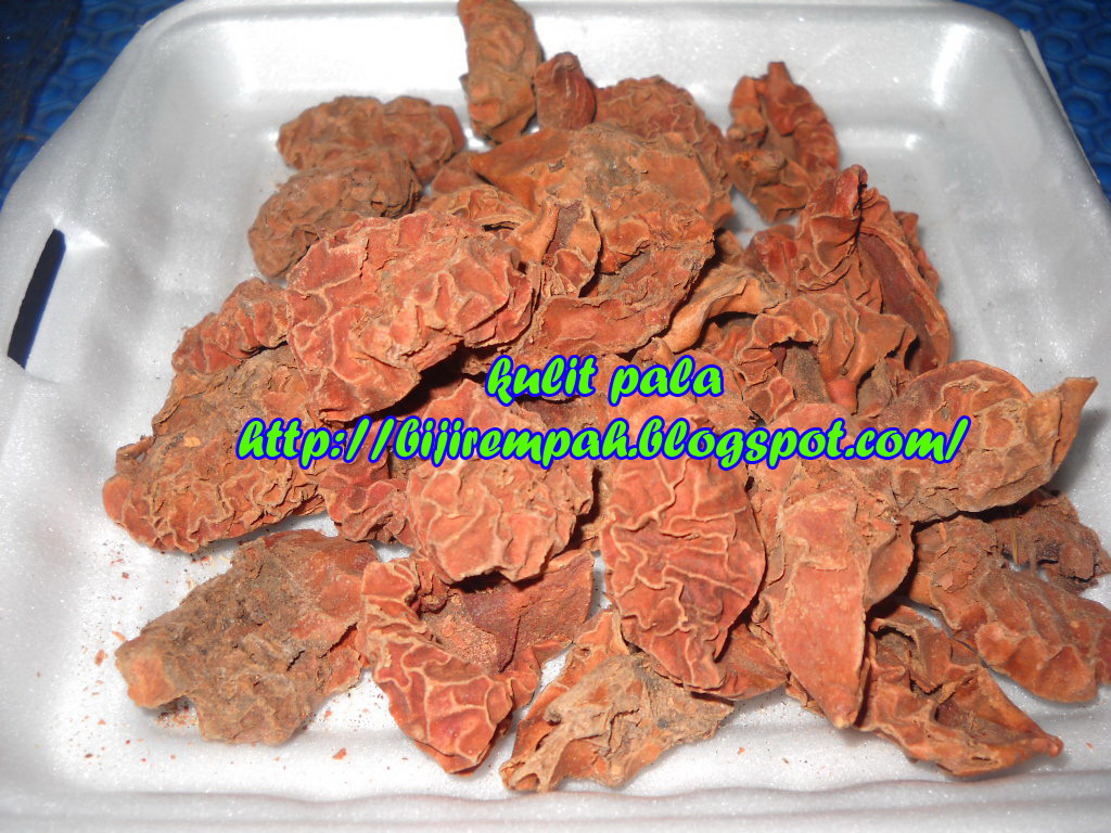 kulit pala