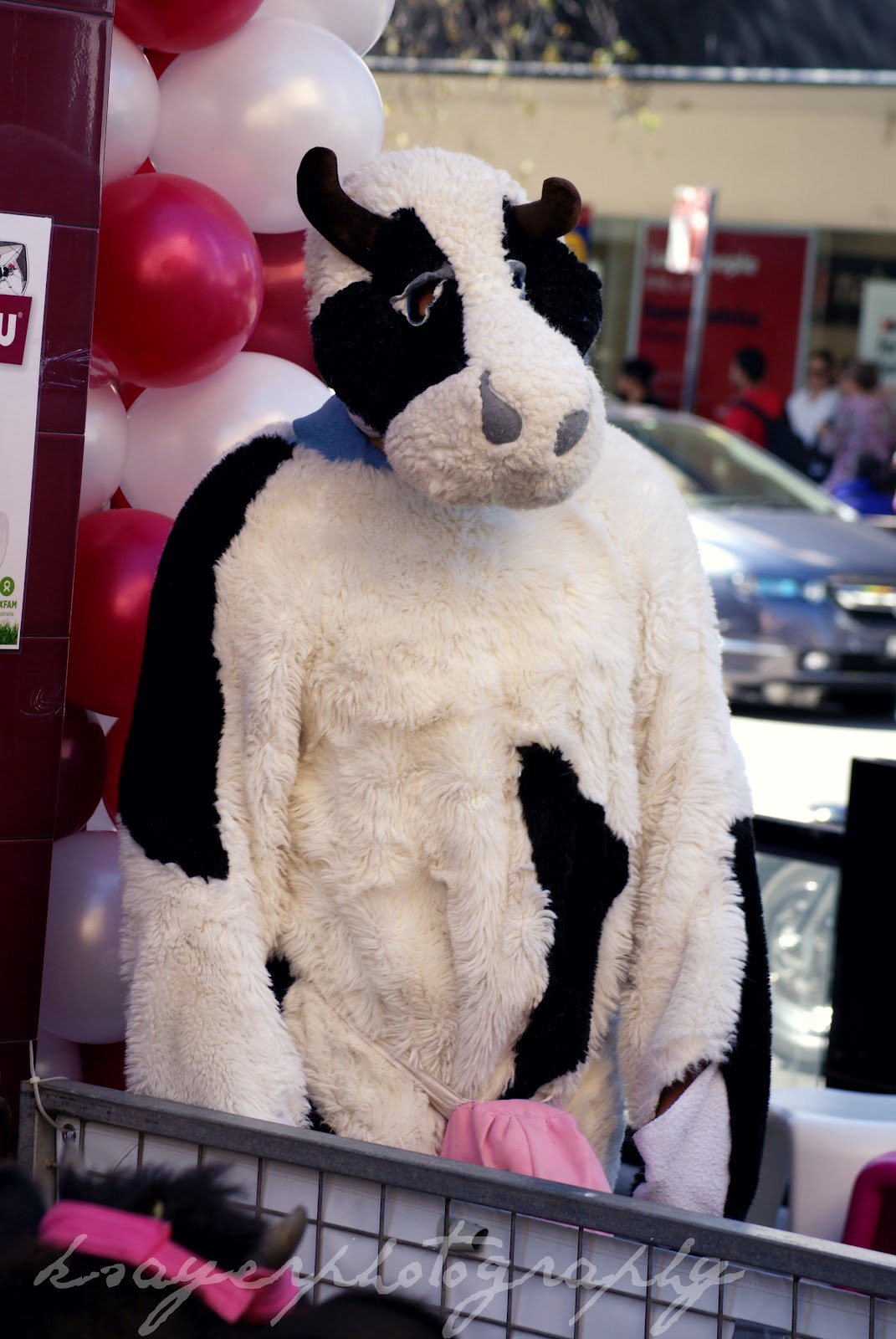 Southern In Law: Wowcow Frozen Yogurt Opens at Burwood