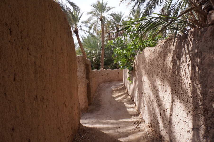 Notre tour du Maroc 2014: 02 avr - Visite au ksar Zenaga - Figuig