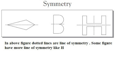 Line of Symmetry