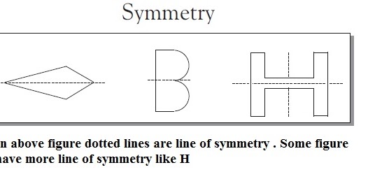 Line of Symmetry