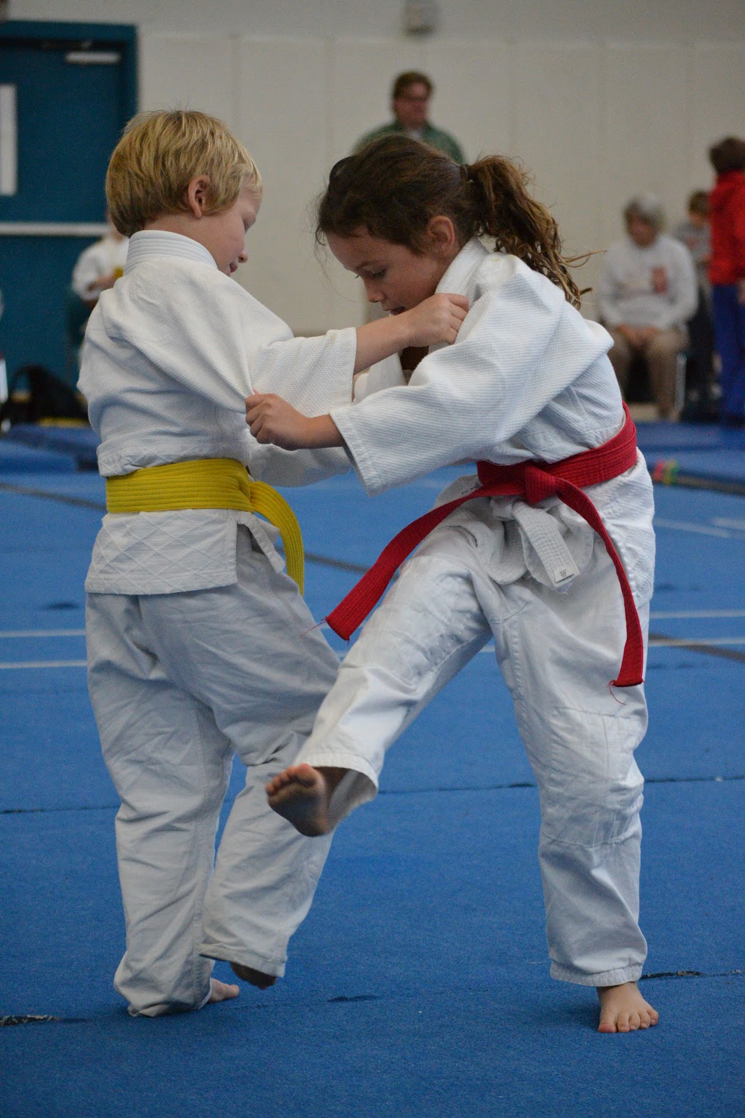 Are they ALL yours?: Judo!