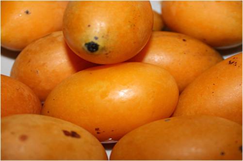 orangkecilorangbesar: Buah Setar macam emas!