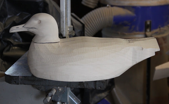 New England Coastal Birds: The Great White-winged Gull of the North ...