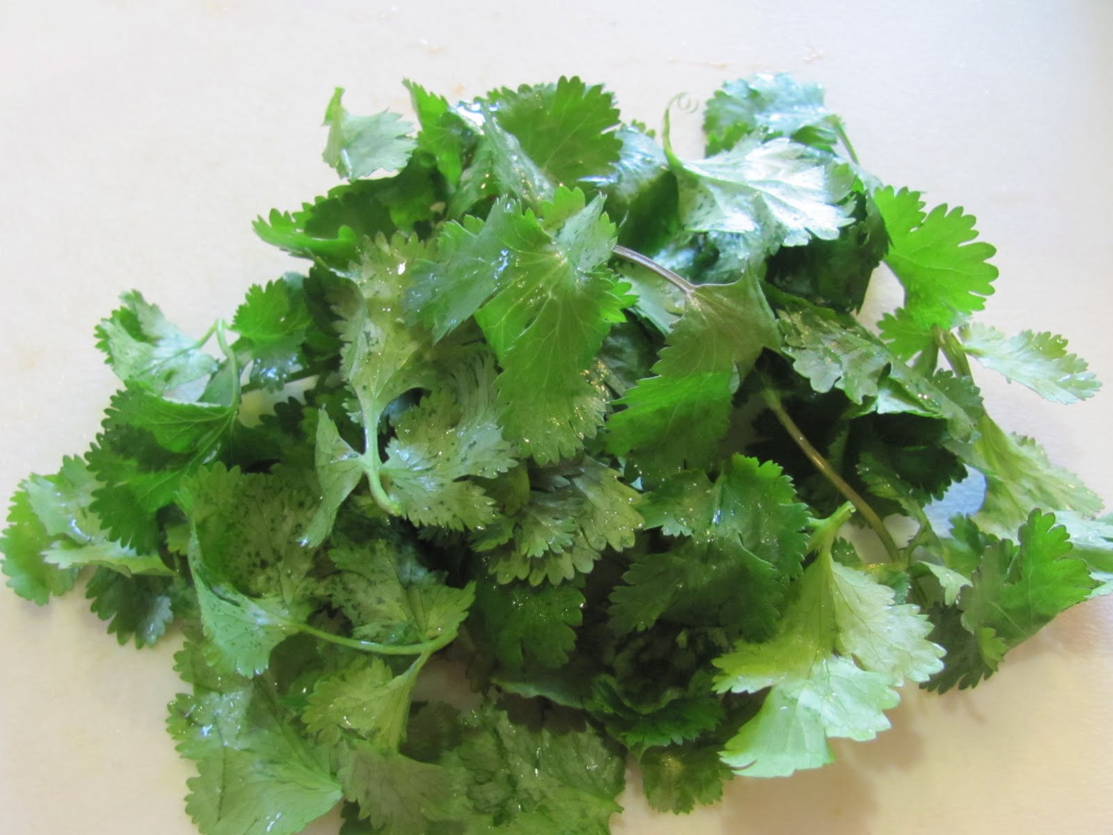 Sprinkle Some Sunshine!: salsa party!