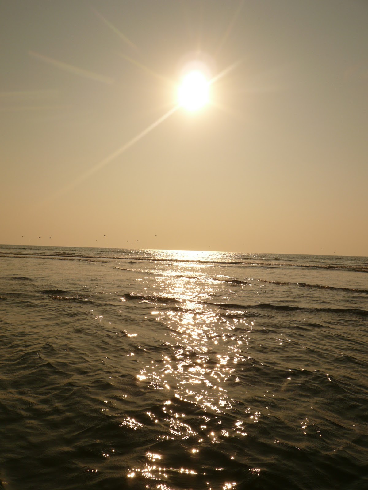 Scorpion Wings,: Far from the madding crowds.....