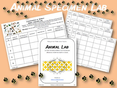 Classroom Freebies Too: Science Freebie ~ Animal Specimen Lab Sheet