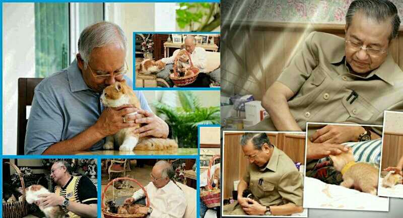 PEMUDA SELEMPANG MERAH: Kisah Nabi SAW dengan kucing