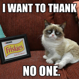Grumpy Cat Saying No | Funny Collection World