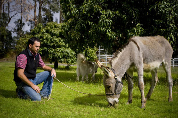 Elyse Butler Mallams - Hawaii Photographer: Saving the Kona ...