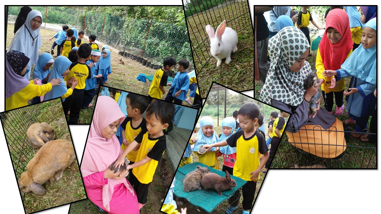 Tadika Permata Hidayah: Sang Arnab di TPH