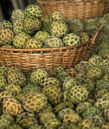 Atis-Sugar Apple ~ What's New Philippines?