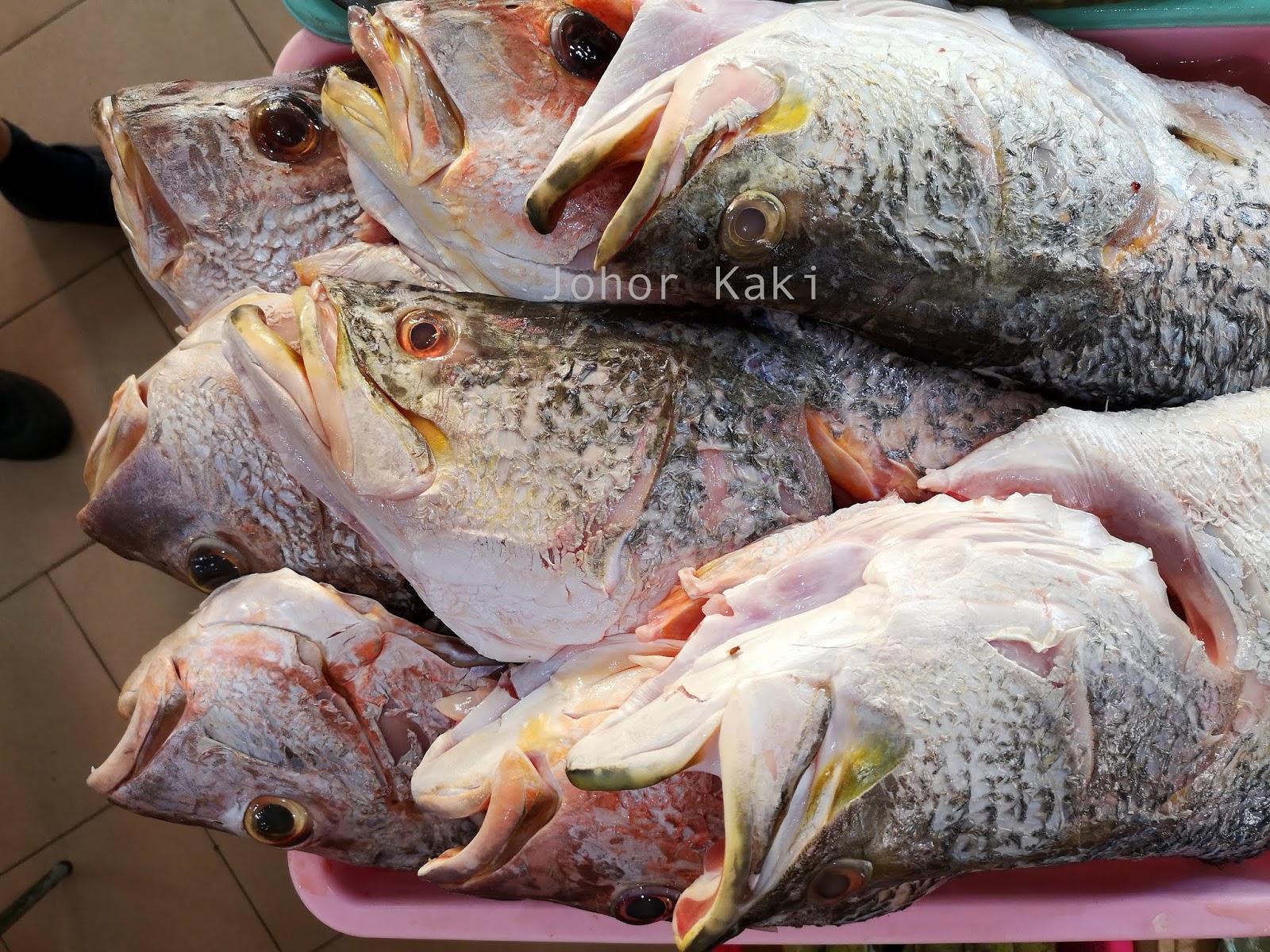 Lengkuas Fish Soup at Eatern Food Court in Batam Indonesia 平记鱼汤 |Tony ...