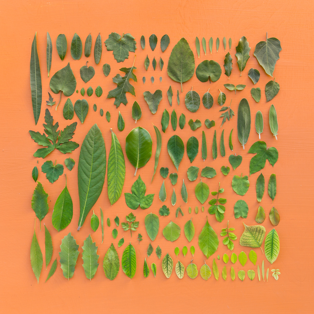 Good design makes me happy: Emily Blincoe