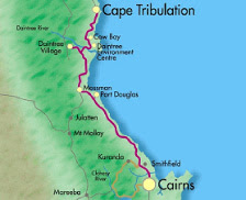 Outback Snack: The Daintree Rainforest