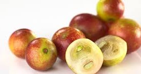 Saúde em Primeiro Lugar: Camu-Camu - Fruta da Amazônia que controla ...