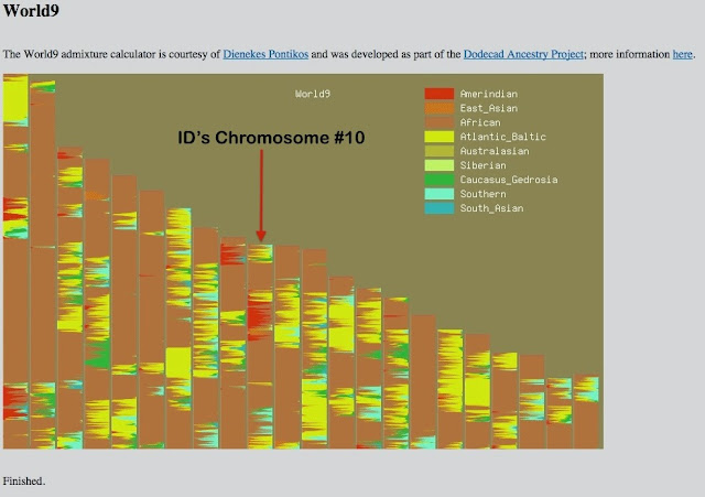 Roots & Recombinant DNA: Ethnicity Chromosome Mapping & Determining ...