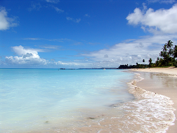 ALAGOAS O PARAÍSO DAS ÁGUAS: TELEFONES ÚTEIS - MARAGOGI