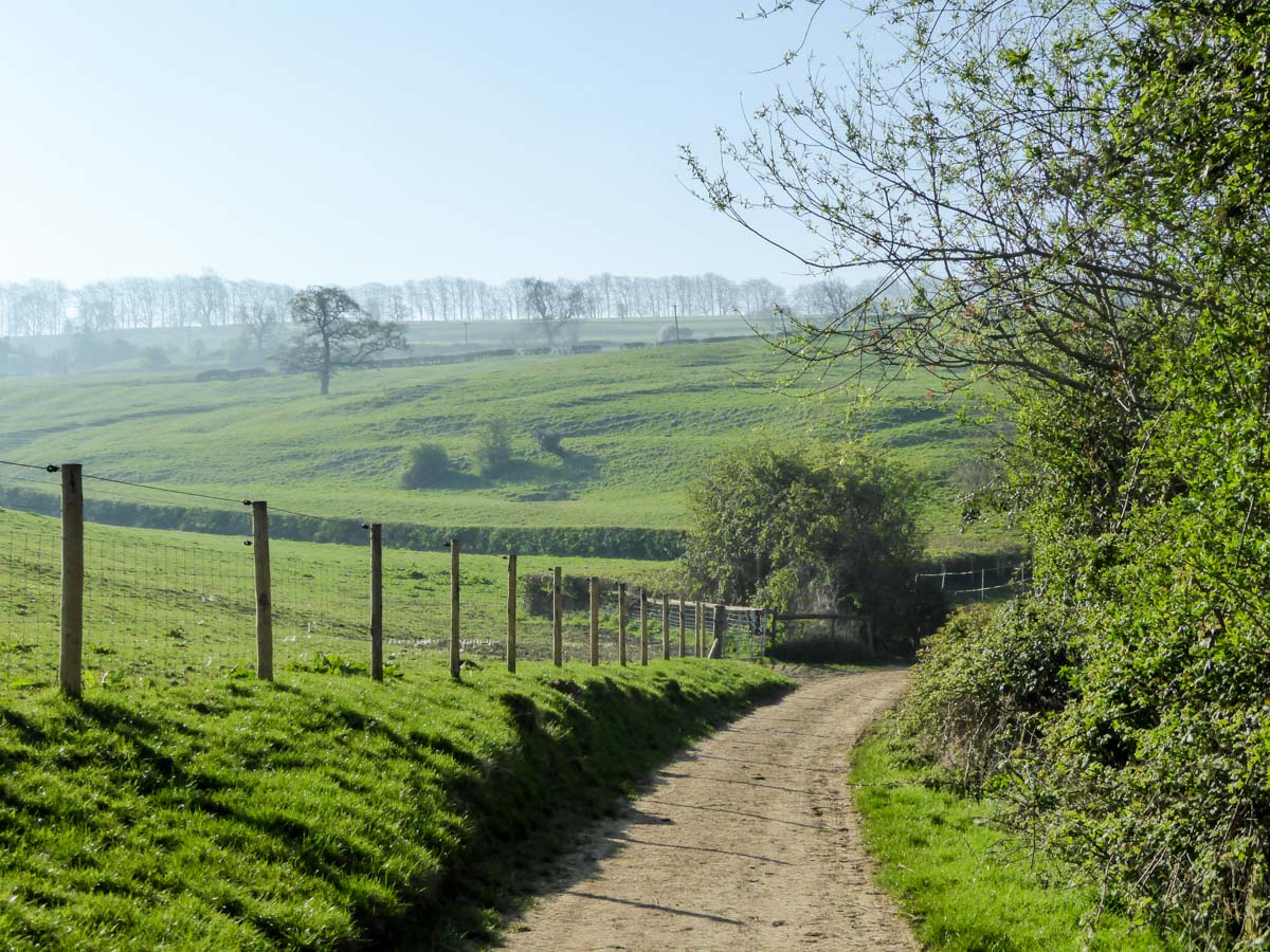 Cotswold Way: Wood Stanway - Cleeve Hill