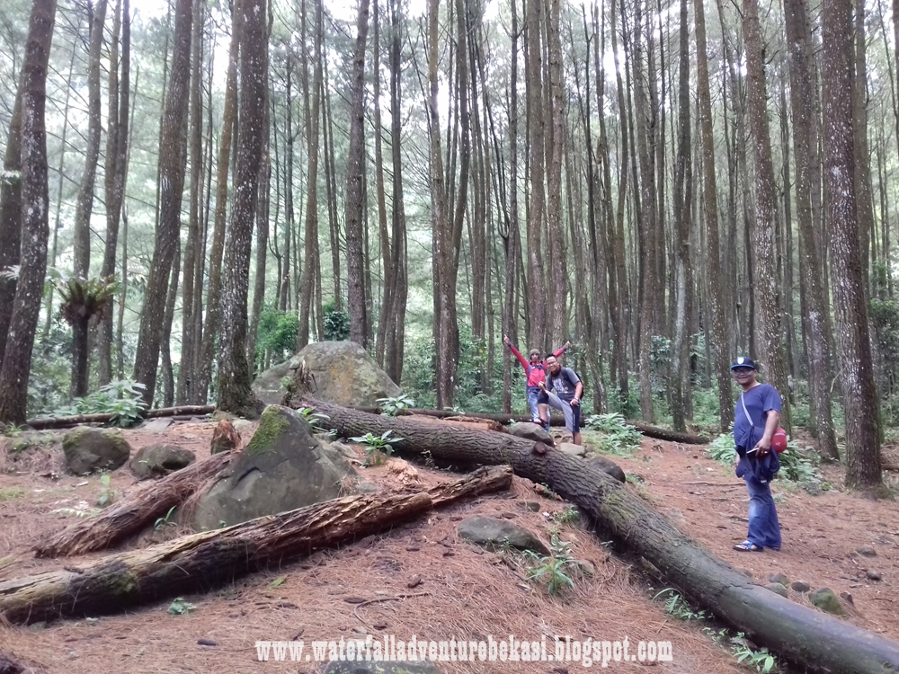 WATERFALL ADVENTURE BEKASI: TRIP TO CURUG CIBADAK GUNUNG SALAK LOJI BOGOR