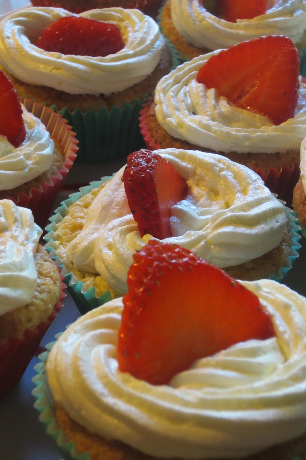 Maailman paras karkki