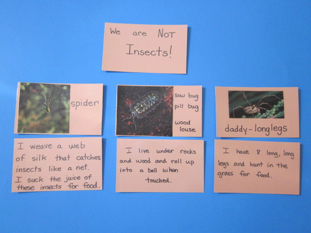 Inspired Montessori, Reggio Loose Parts, and Children's Art : Huge Unit ...