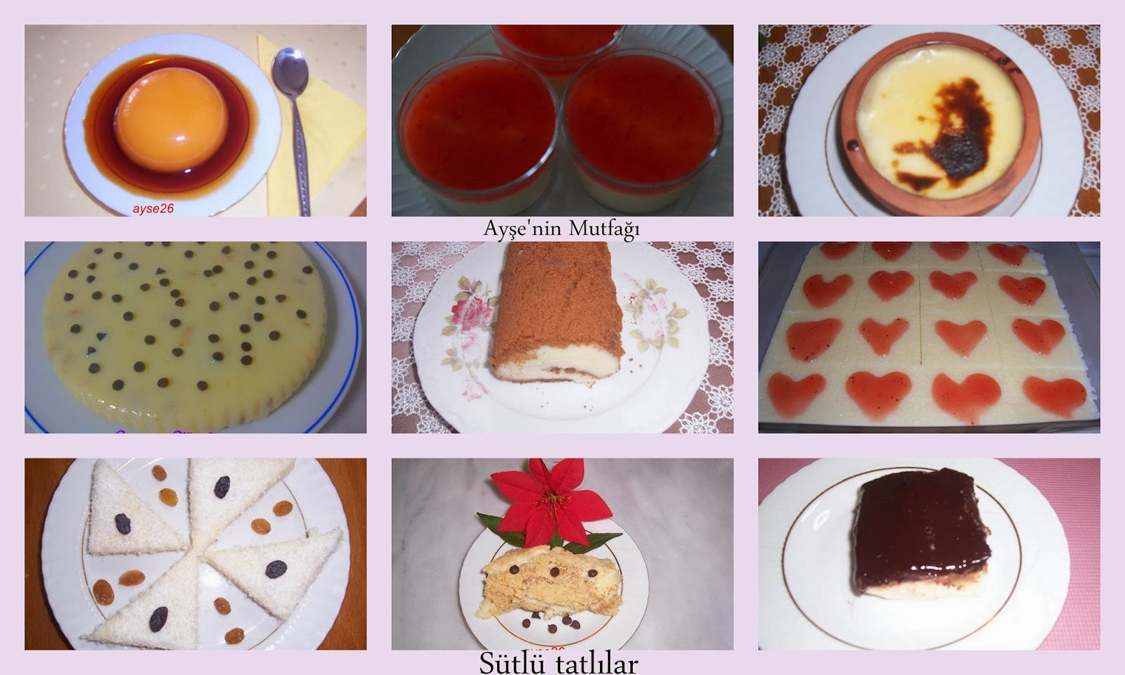 babolim1: Sutlu tatli tarifleri-sutlu tatlılar