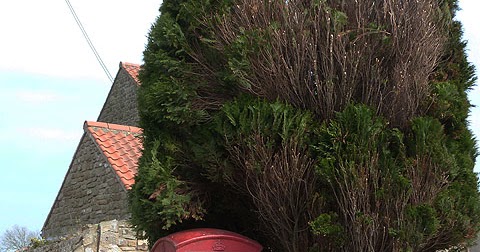 North-East History Tour: Strange Neighbours of Hutton Magna (NZ127124)