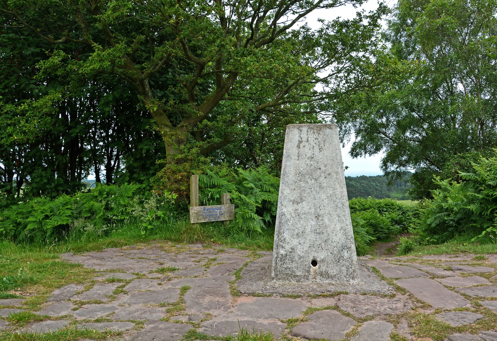 Highest Points: 92 - Raw Head - Cheshire West and Chester - 24th June 2014