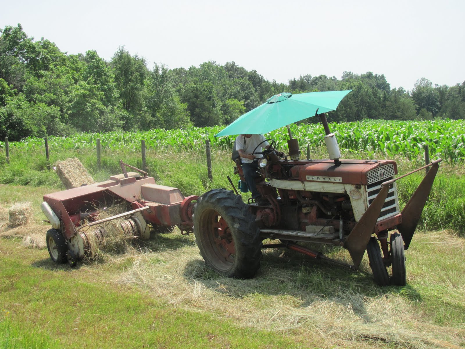 curving back: sweltering summer day