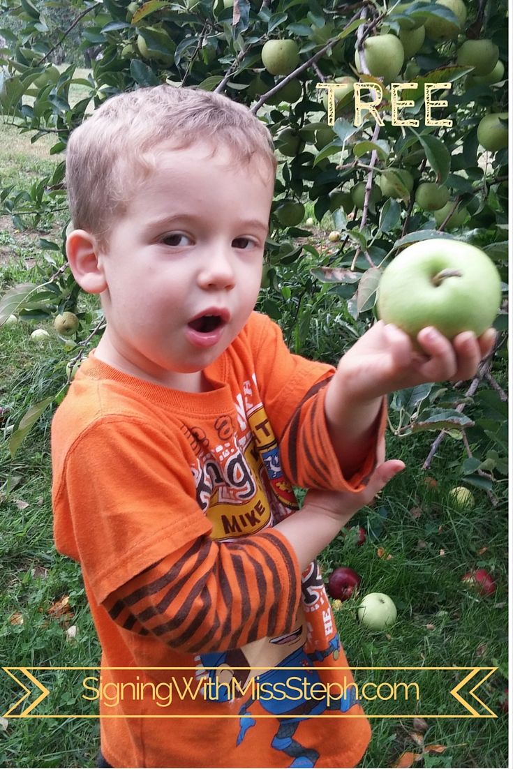 Signing With Miss Steph: Autumn Adventures: Exploring at the Apple Orchard