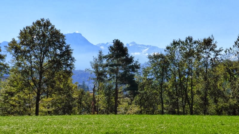 Pfannenstiel Wanderblog: Rotsee-Rundwanderung bei Luzern