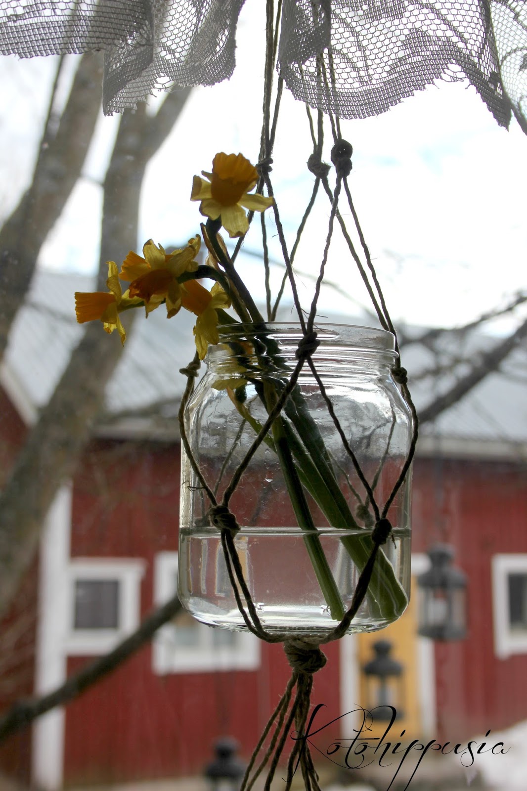 DIY amppeli - Kotohippusia