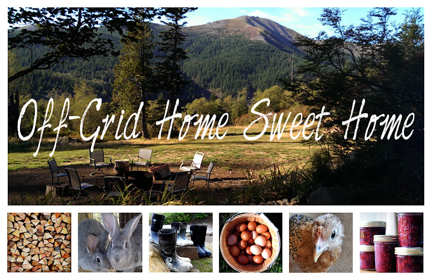 Off-Grid Home Sweet Home: Backyard Fire Pit Ideas...