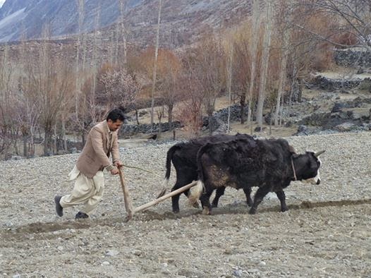 History of Organic Farming - General Agriculture