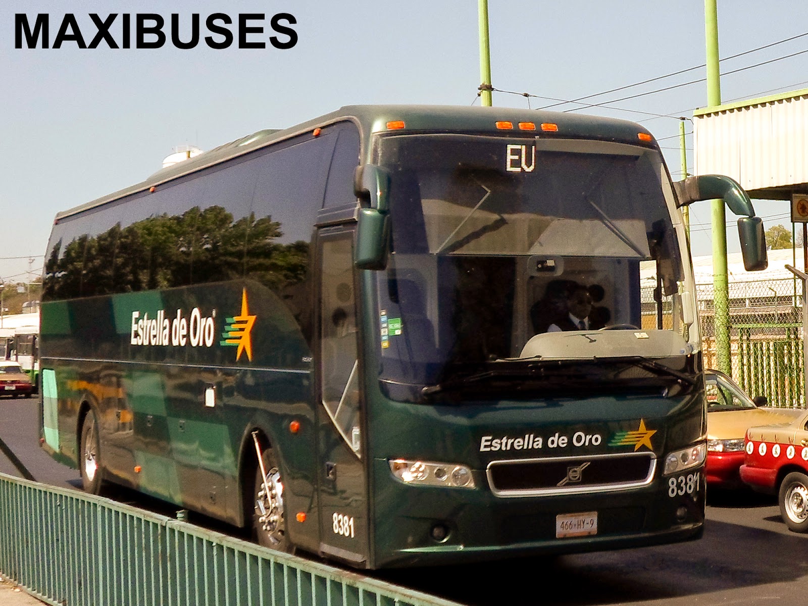MAXIBUSES: ESTRELLA DE ORO PLUSS