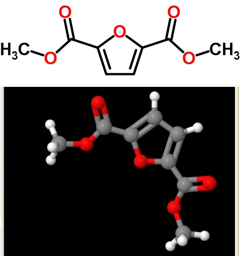 FDME and PTF – Emerging stars on the bioplastics horizon