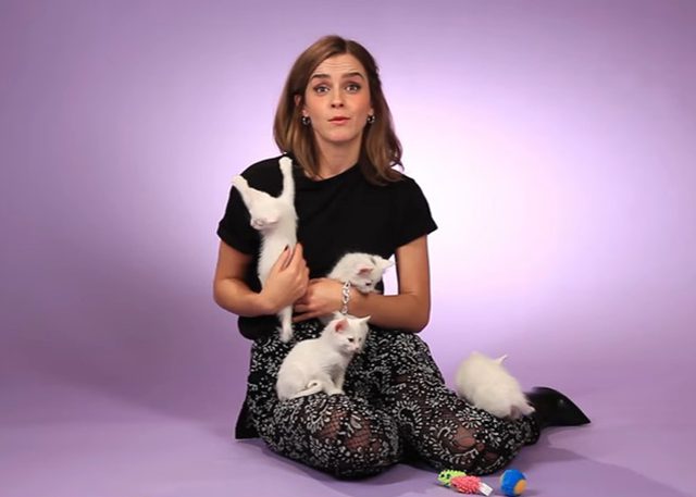 Emma Watson adopts kittens from animal shelter