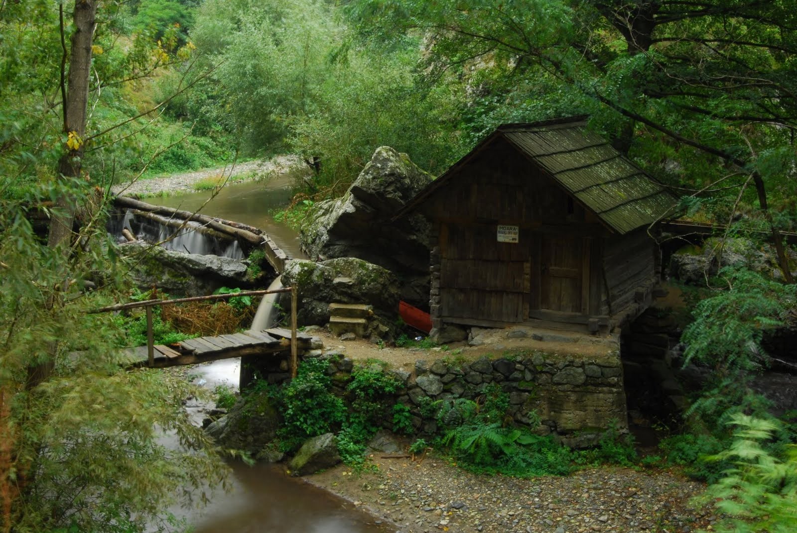 undeva la mijloc: Morile de apă din valea Rudăriei - Eftimie Murgu