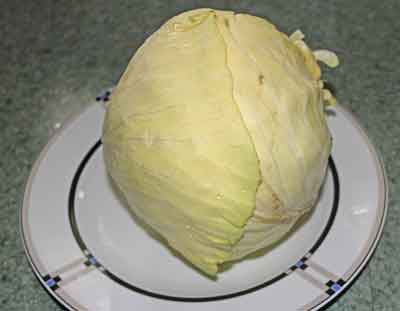 Jim Long's Garden: Fall Garden Improvement Over Summer